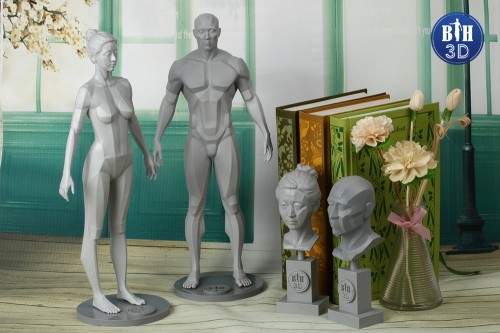 3D프린팅 활용, 고품질의 교육용 인체모형 시리즈 판매하는 BH3D아트토이